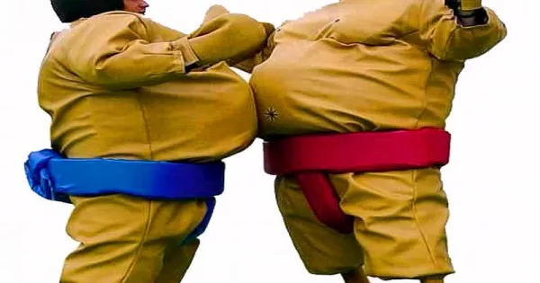 Sumo Wrestler Suits For Sale
