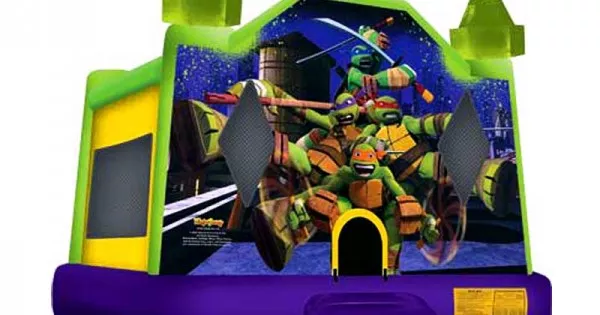 Teenage Mutant Ninja Turtles Jumper For Sale